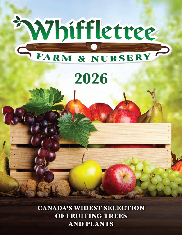 Whiffletree Nursery: Download Catalogues, Tree Planting Guide & More